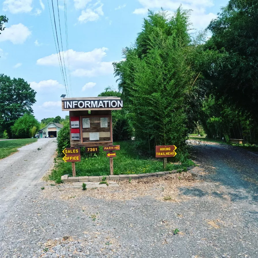 Tour | Almaville Bamboo Co.
